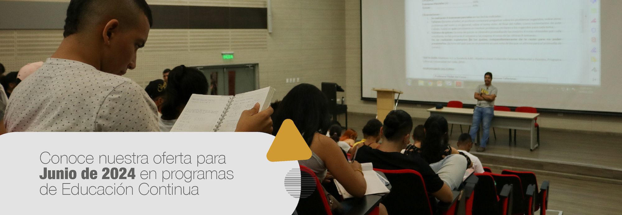 Educación Continua - Vicerrectoría de Extensión y Proyección Social ...